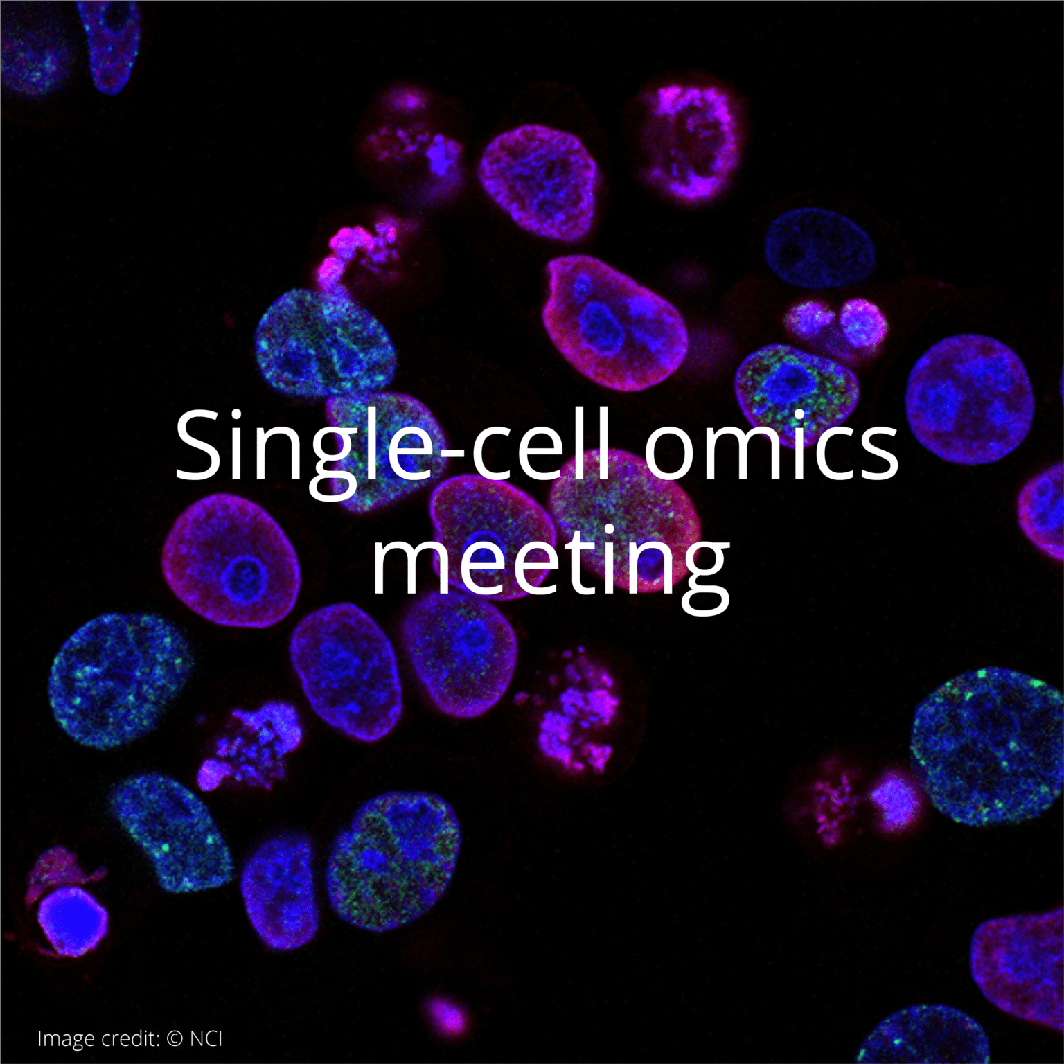 AGORA Single-cell omics meetings – Agora